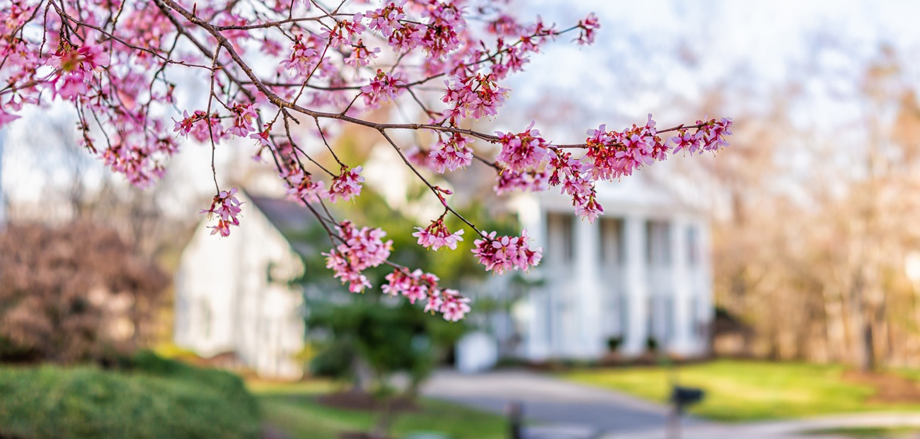 How Agents Can Help Pinpoint the ‘Best Time to Sell’ in 2026