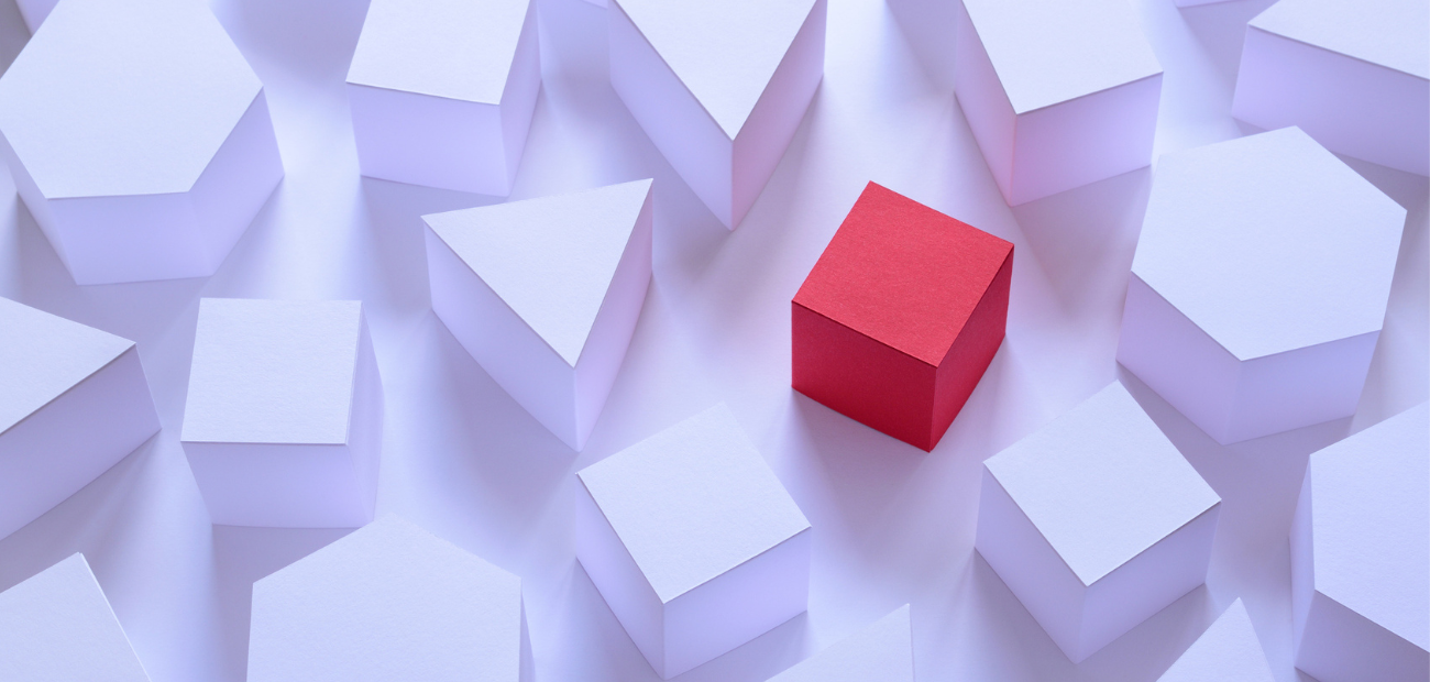 A DIY Guide to Hone and Leverage Your Public Image