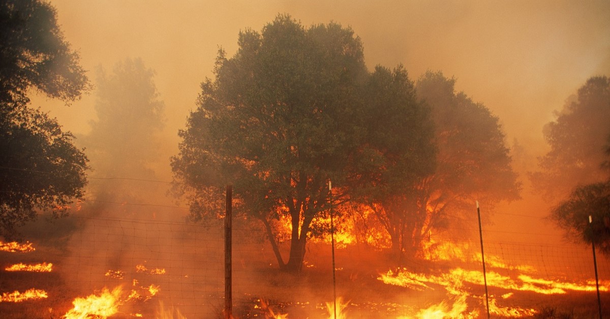 Fire Factor™ FAQ