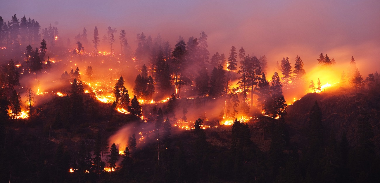 Catastrophic LA Wildfires Rage on, Thousands of Structures Destroyed