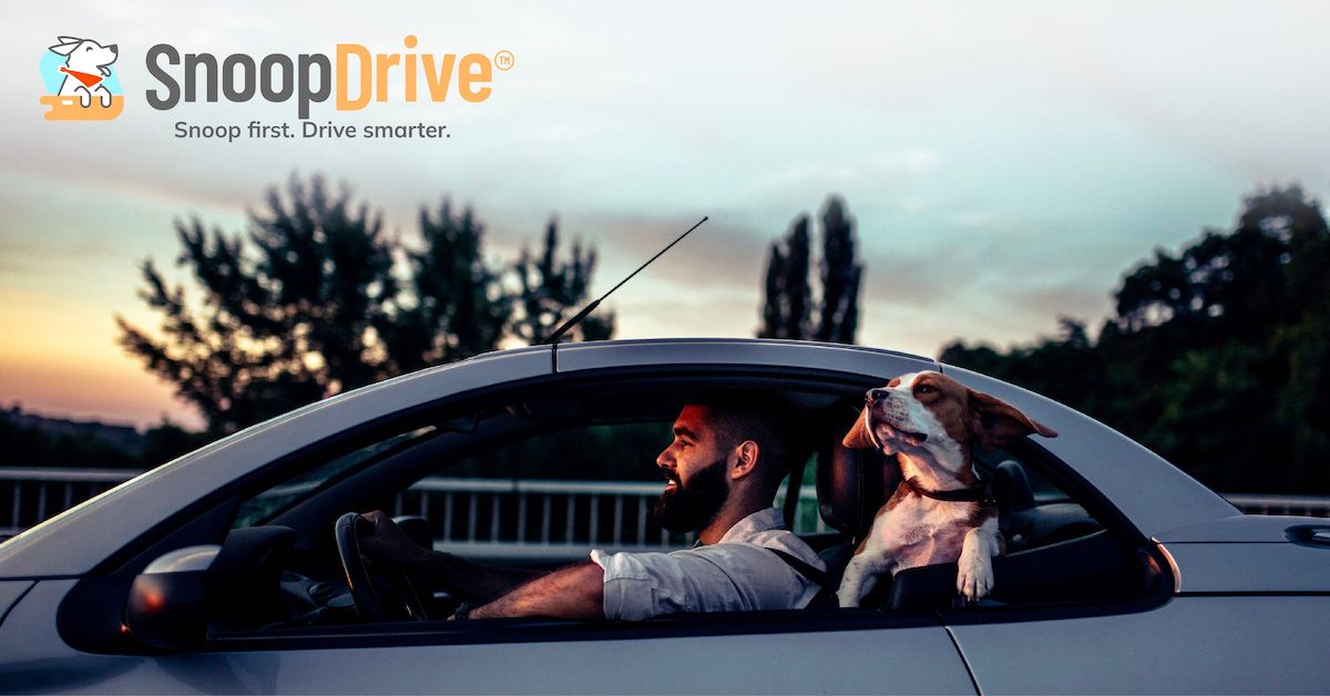 SnoopDrive: NAR Auto Protection