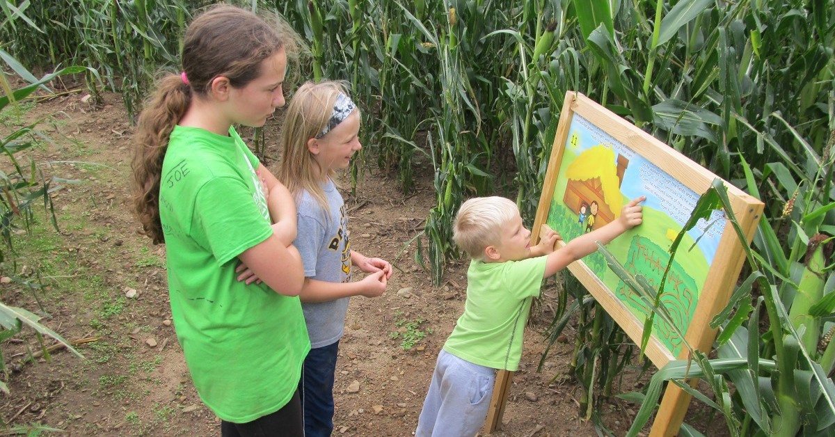 Storybook Trails: Where Kids Can Walk and Learn at the Same Time