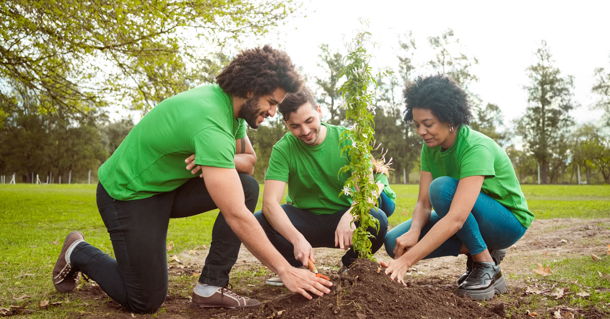 Tree-Planting Initiative